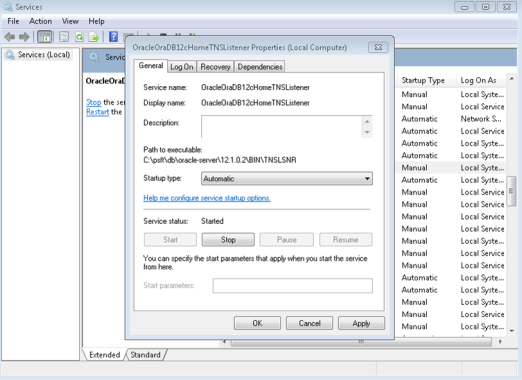 PeopleSoft Campus Solutions Native OS DPK Install - PeopleSoft Mods